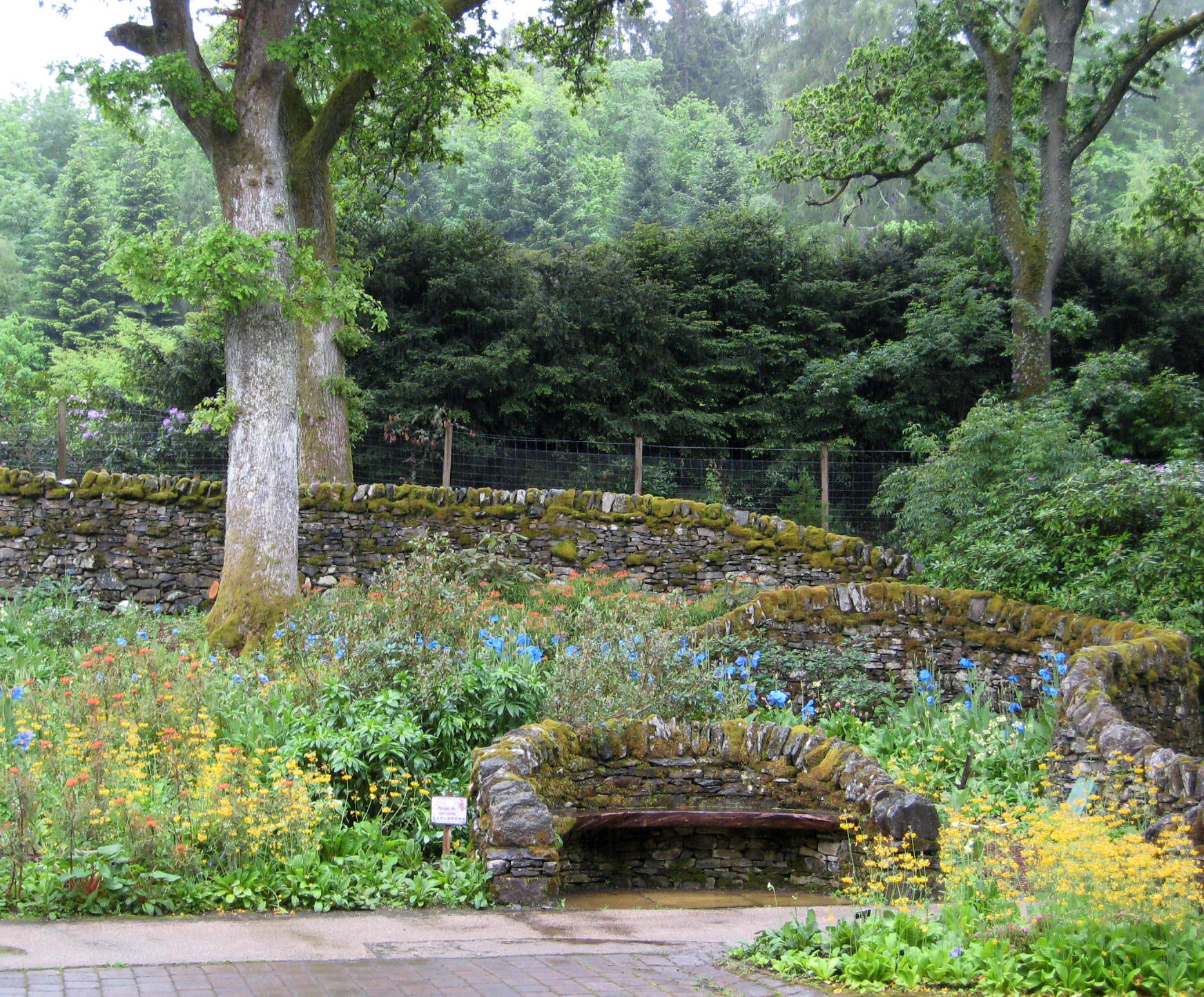 Thomas Drummond, Botanist and Explorer – Writing Up the Ancestors